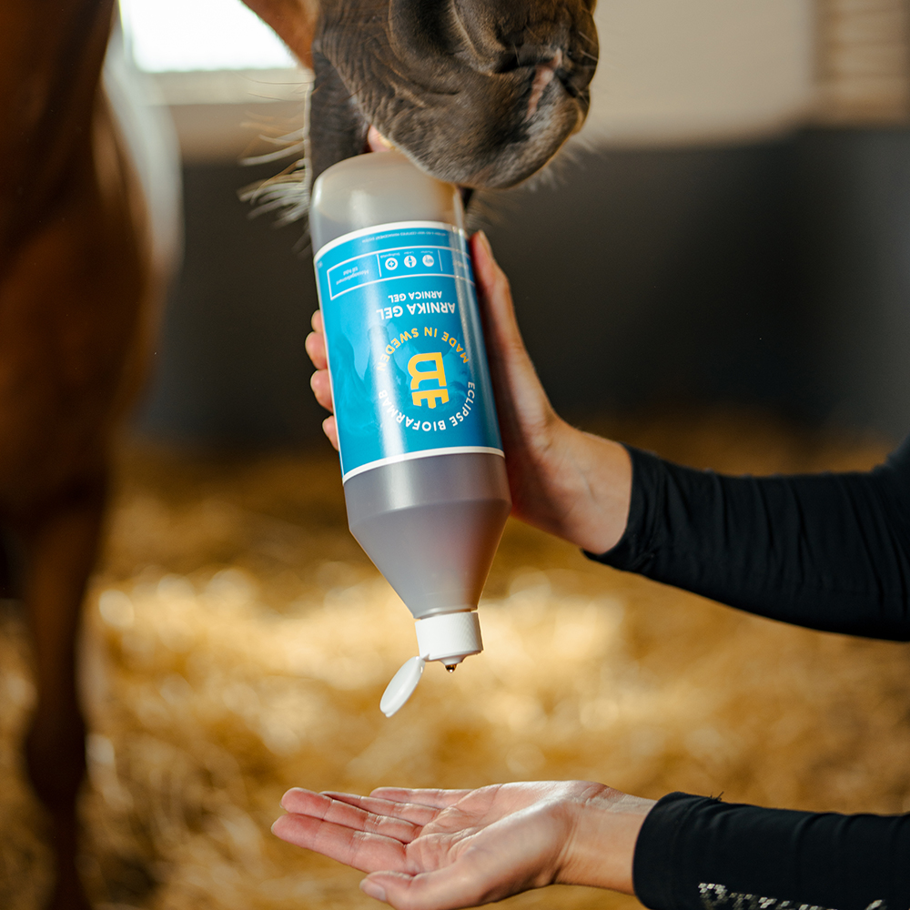 Arnika gel Eclipse Biofarmab, 500 ml | Börjes Hästsport