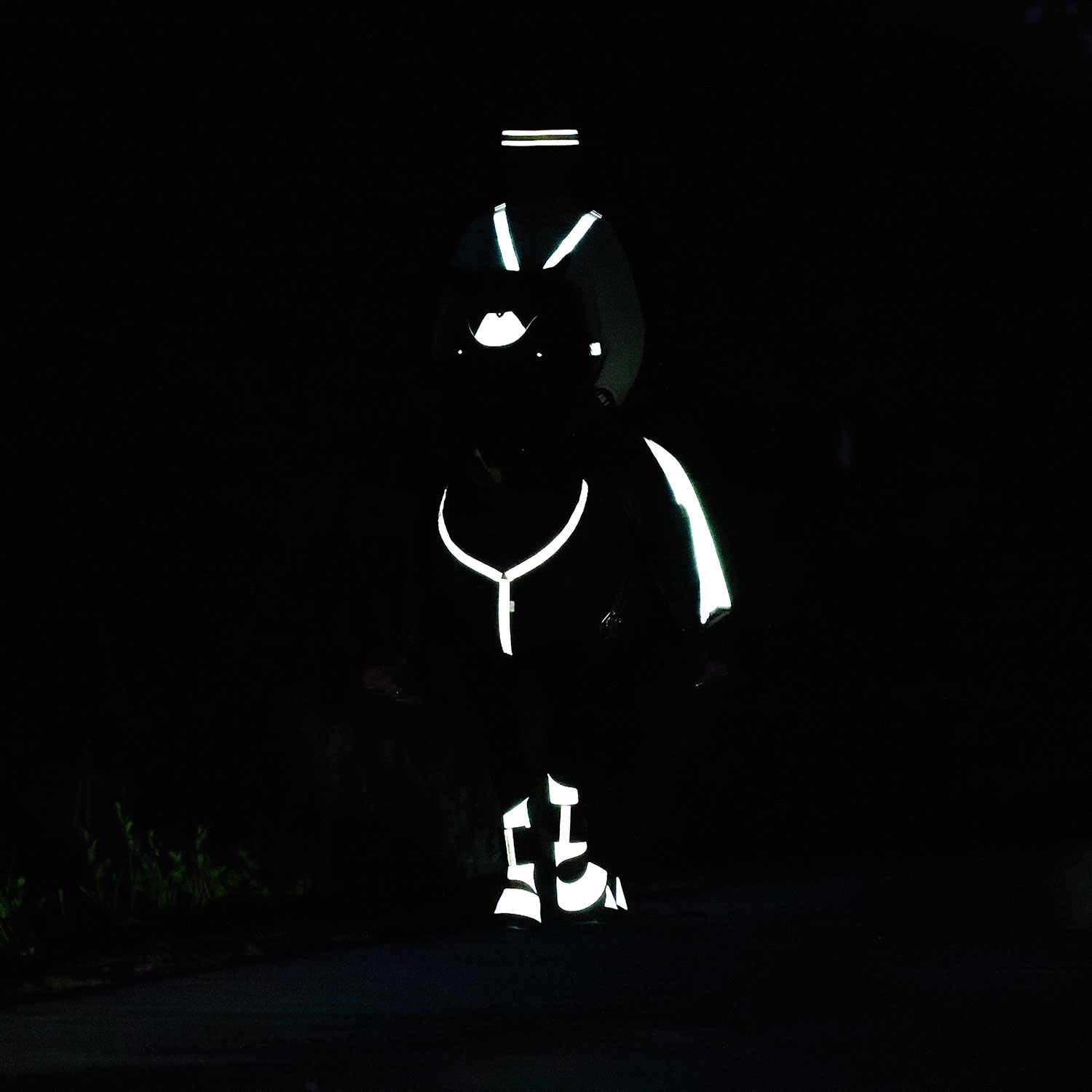 Reflex Damask Flash | Börjes Hästsport